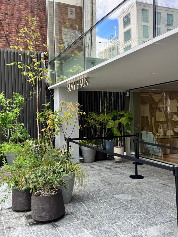 서울 성수 뜨개샵 쎄비 하우스 SEVY HAUS 다녀온 후기 ️ : 네이버 블로그