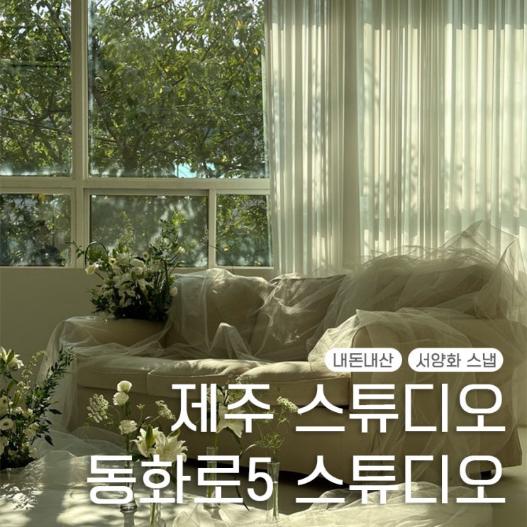 제주 스튜디오 동화로5 스튜디오 예약 (내돈내산 서양화 스냅) : 네이버 블로그