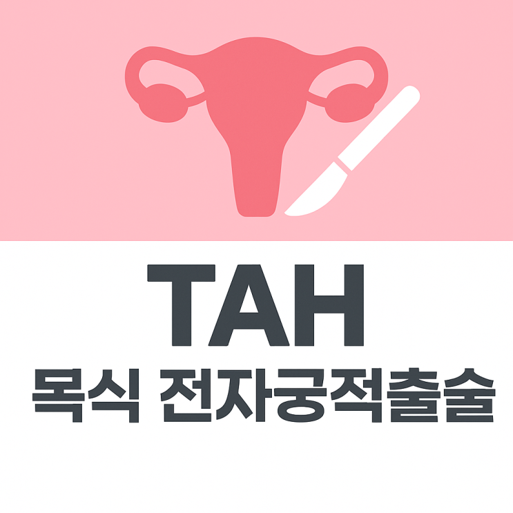 의학용어 TAH (Total Abdominal Hysterectomy, 복식 전자궁적출술) : 네이버 블로그