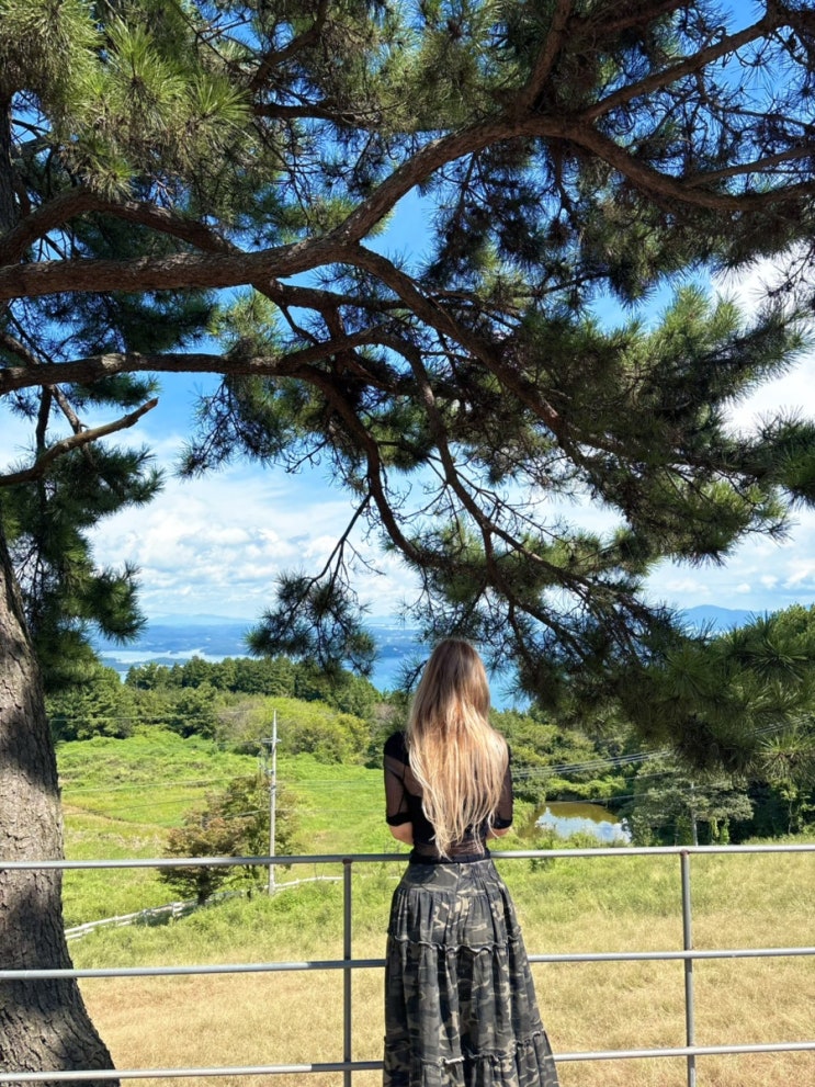 남해 여행 코스 추천,상상 양떼 목장 : 네이버 블로그