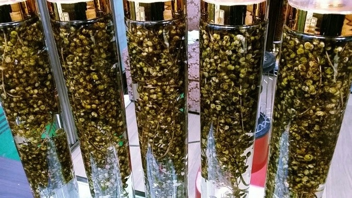 한방약술의 개요 : 네이버 블로그