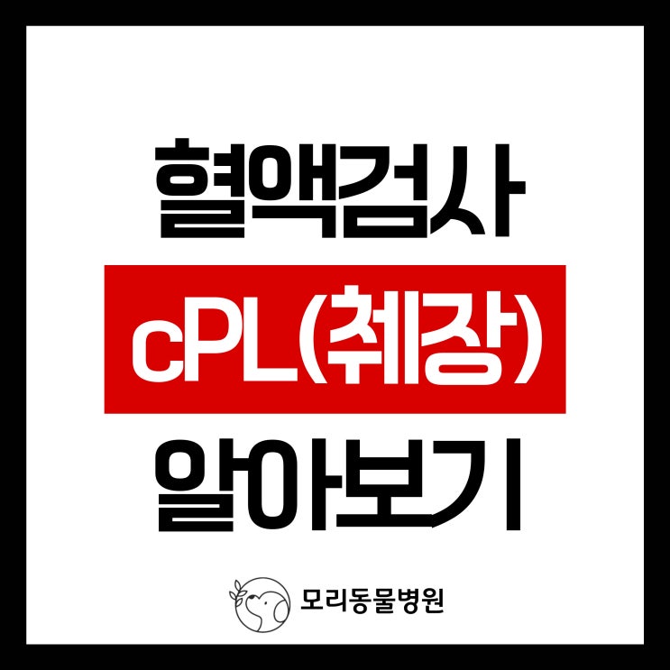 [건강검진] 췌장 혈액검사, cPL 수치란? │ 삼송·원흥·스타필드 고양 모리동물병원 : 네이버 블로그