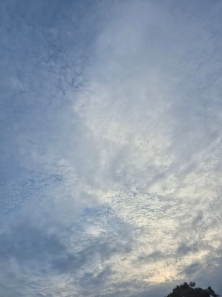 250918 성시경 인스타그램 : 네이버 블로그