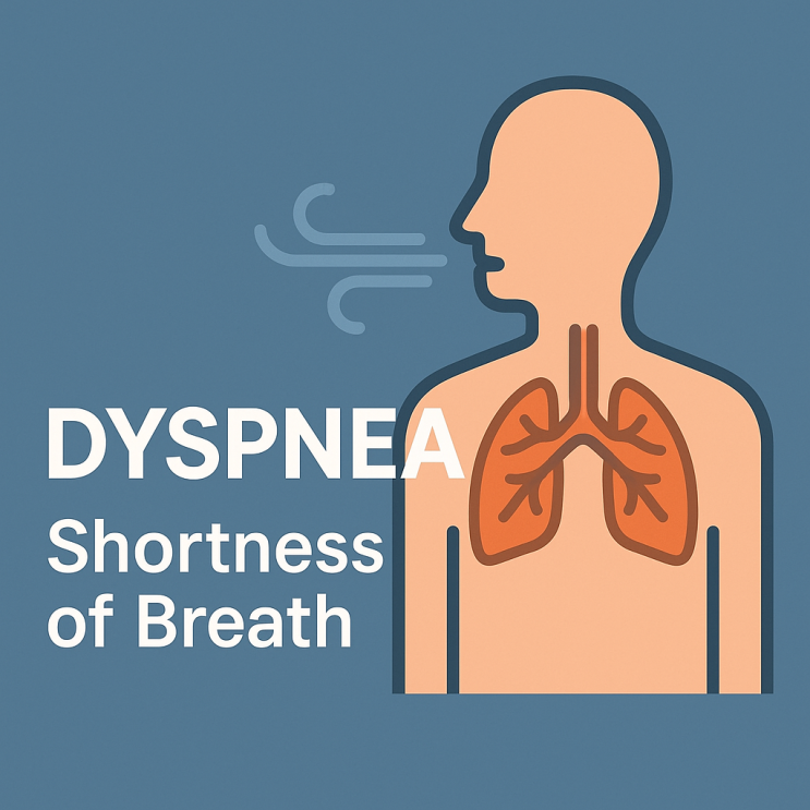 의학용어 Dyspnea (호흡곤란) 뜻 알아보기, 완벽정리 : 네이버 블로그