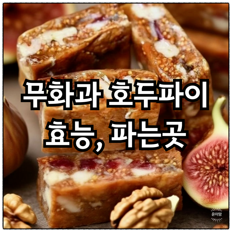 무화과 호두파이 효능부터 파는곳까지 건강간식 총정리 : 네이버 블로그