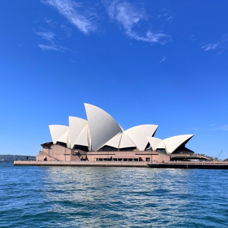 호주 시드니 여행🇦🇺 / 인천-시드니 티웨이(TW501), 시드니-인천 아시아나(OZ602) 탑승 후기 : 네이버 블로그