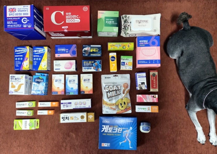 경기도 성남/ 창고형 약국 '메가 팩토리 약국' 생각보다 컴팩트 주차는 다른데해요 (영수증 o) : 네이버 블로그