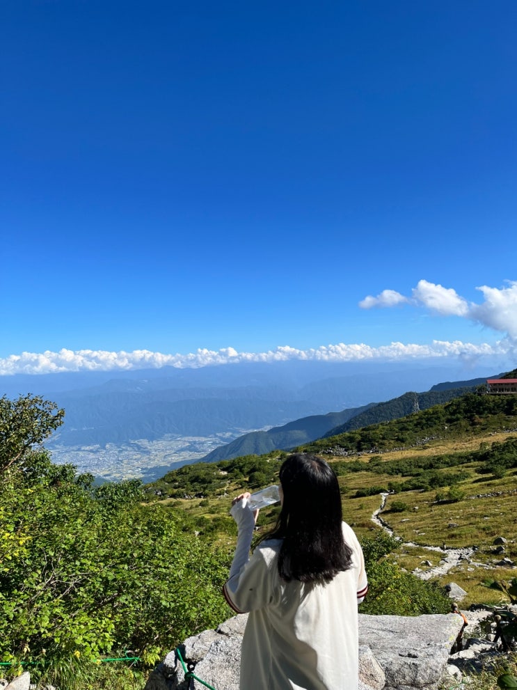 250916나고야&나가노여행3일차/아침의 스와호/센조지키카르/나고야로이동해서 미소카츠먹기 : 네이버 블로그