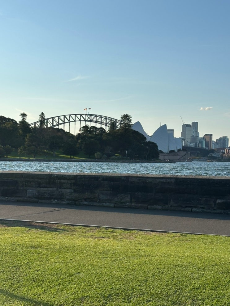 시드니여행day5. 파라마운트 커피 프로젝트 브런치, 케미스트 영양제/꿀 쇼핑,로얄 보타닉파크 피크닉, 에르메스, 젯스타 지연 : 네이버 블로그