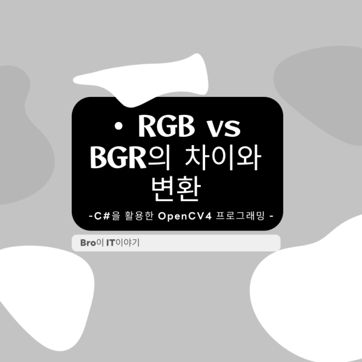 🎨 RGB vs BGR의 차이와 변환 : 네이버 블로그