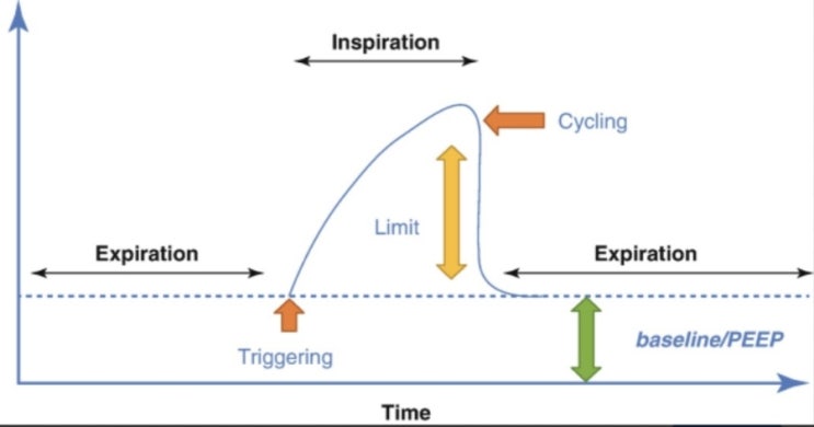 153) Ventilator 정리하기 - Ventilator phase(Trigger limit cycle baseline ...