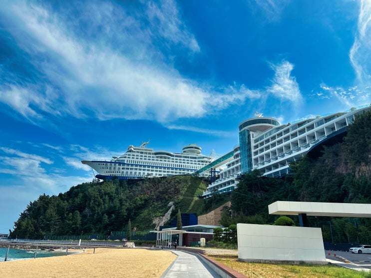 정동진 항구회센터에서 대게 한 상, 바다 앞 제대로 즐기기 : 네이버 블로그