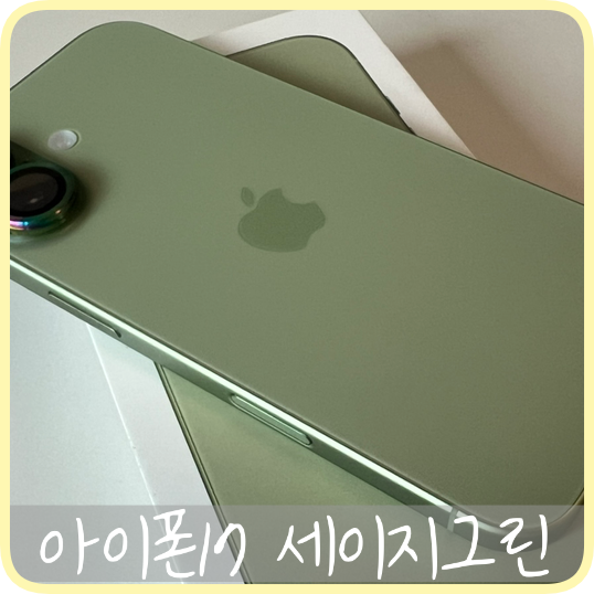 [애플] ‘아이폰17 세이지 그린’ 언박싱 256G 핫딜노트 X KT사전예약 : 네이버 블로그
