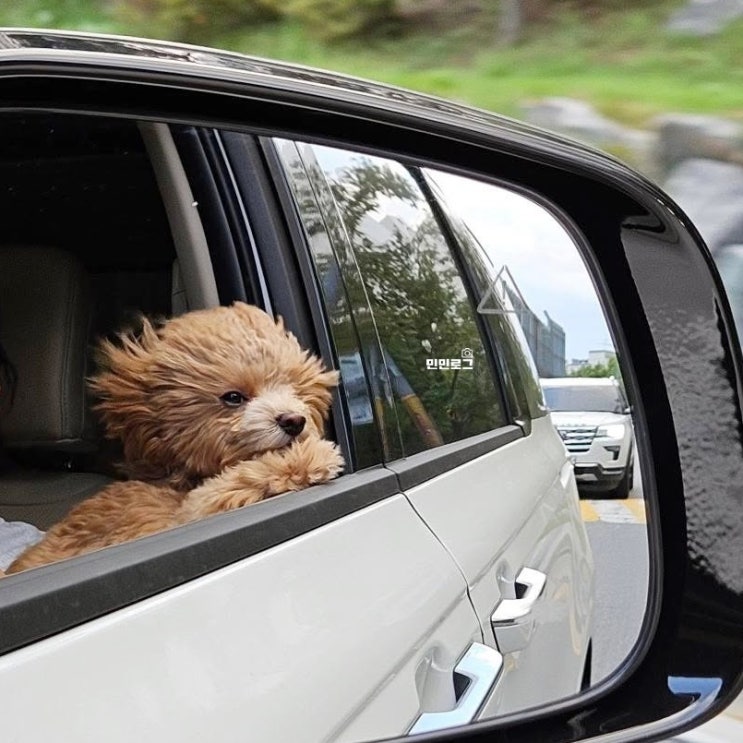 아이폰일상 : 네이버 블로그