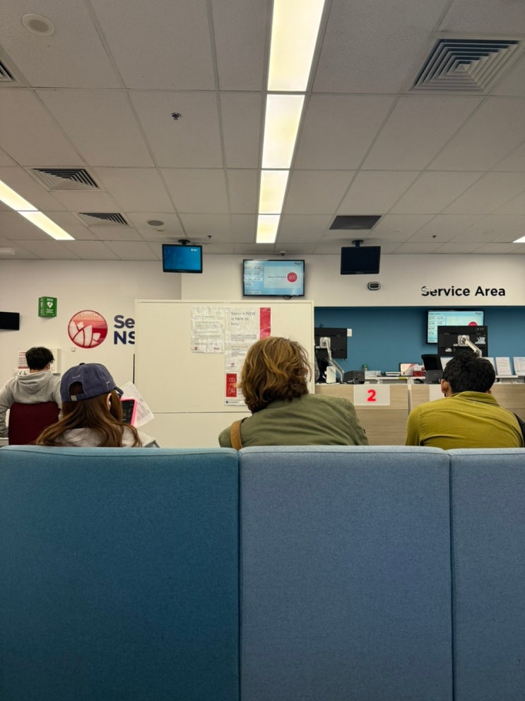 D+2) 호주 간호사 워홀 Service NSW Haymarket :: WWCC 신청 및 발급 / 시드니 한국 운전면허 전환 ...