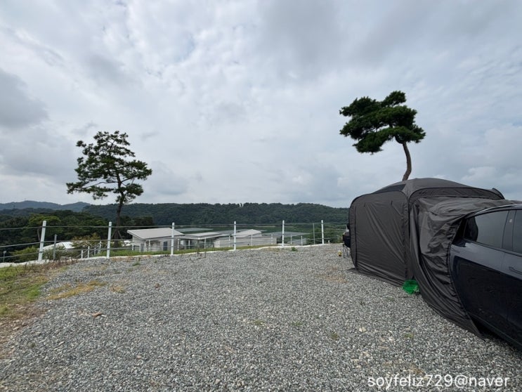 [캠핑-2] 청주 오창, 벨루아 캠핑장 테슬라 주니퍼 차박, 고양이 주의! : 네이버 블로그