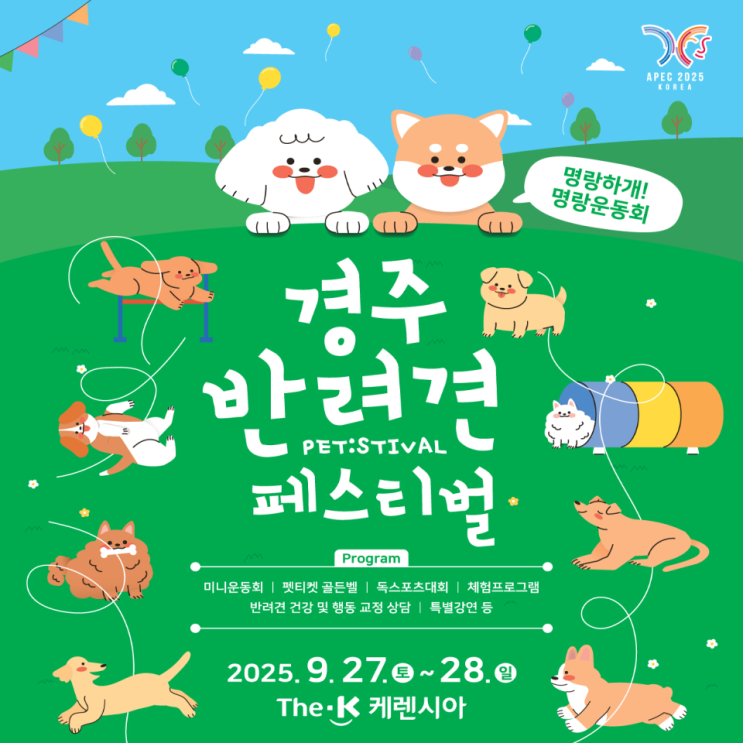 🐕 경주 반려견 페스티벌에서 만나는 특별한 친구, 동경이! 🐕 : 네이버 블로그