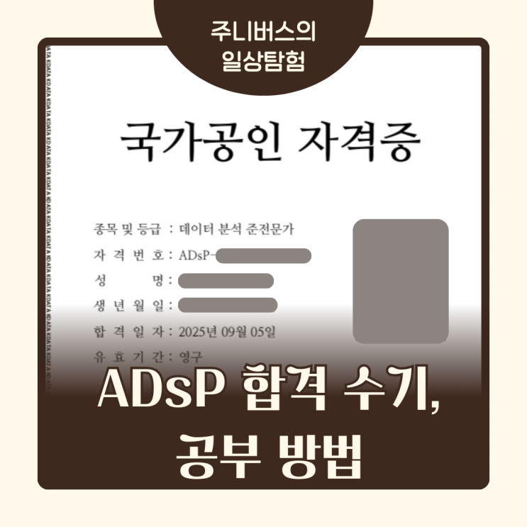 [ADsP] 제 46회 ADsP 비전공자 7일 공부 가성비 합격 후기(w/ 내돈내산 미어캣책) : 네이버 블로그