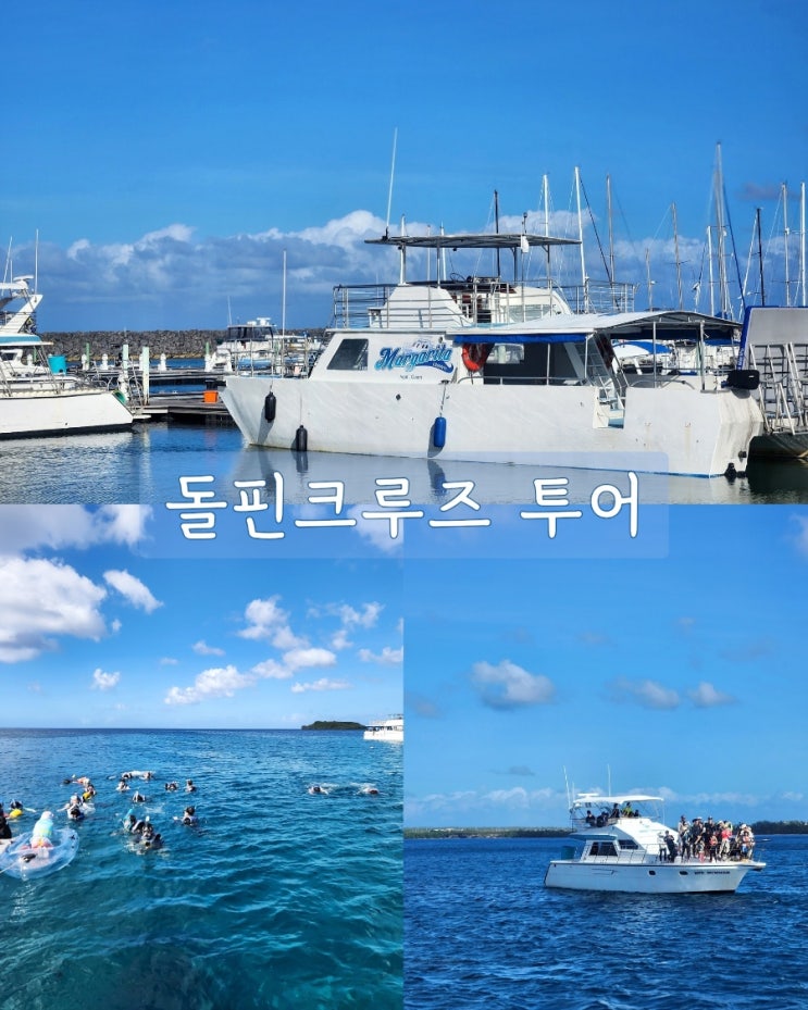 괌 여행 필수 코스 추천! 돌핀크루즈 투어 후기 : 네이버 블로그