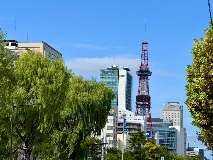 삿포로 기행 : 네이버 블로그