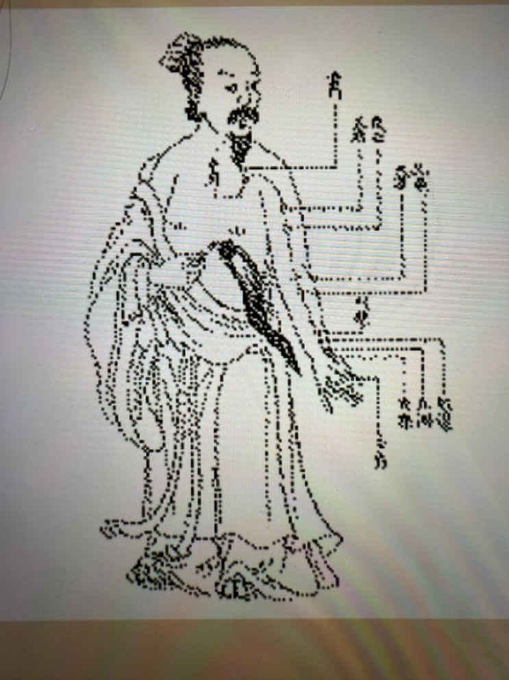수태음폐경: Lung Channel : 네이버 블로그