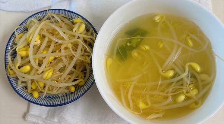 콩나물한봉지로 2가지 요리! 콩나물국 맛내기, 콩나물 무침까지(feat.일타이피 요리) : 네이버 블로그