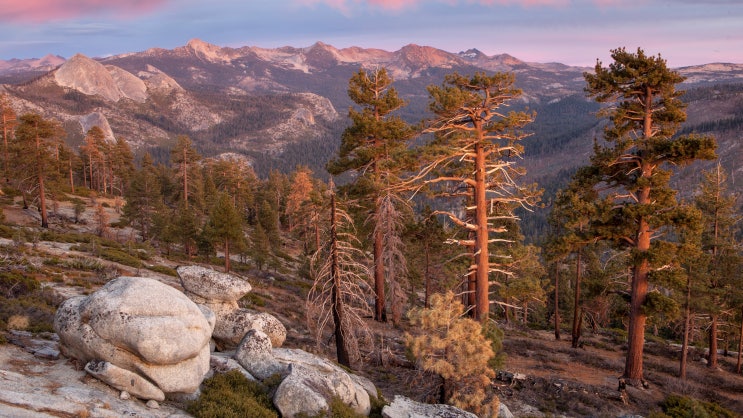 Clark Range, Sierra Nevada, Yosemite National Park, California, United ...