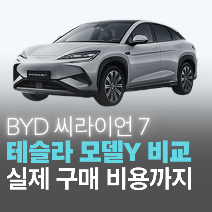 BYD 씨라이언7 배터리 성능과 보조금 포함 실구매가격(모델Y비교) : 네이버 블로그