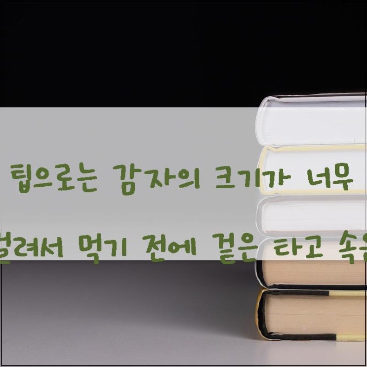첫 문장 공들여 쓰기 핵심 내용 정리 기억에 남는 서평 완성하는 법 : 네이버 블로그