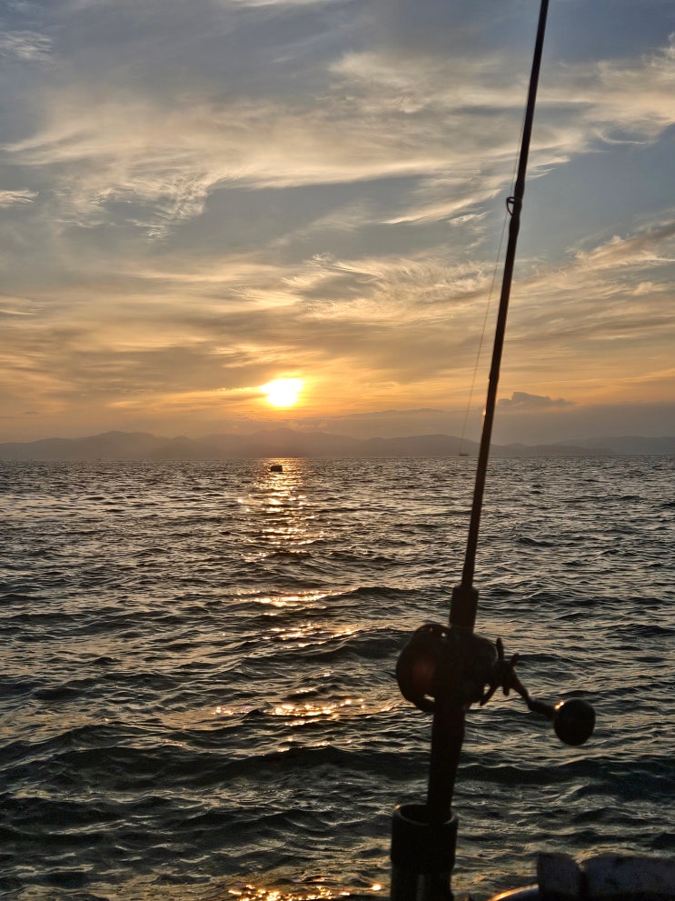 가을 쭈꾸미 갑오징어 낚시 시즌(태안) 🎣 준비와 꿀팁 : 네이버 블로그