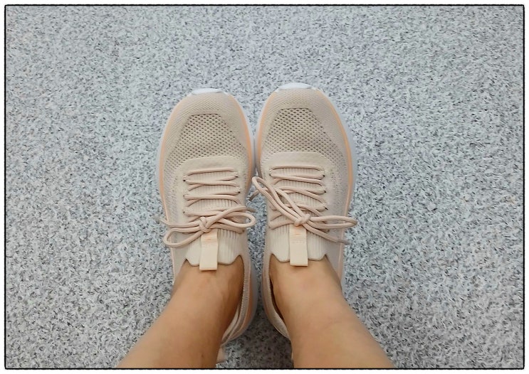 [블챌] 일상의 소비, 고양이 베이글, TANDY 운동화 : 네이버 블로그