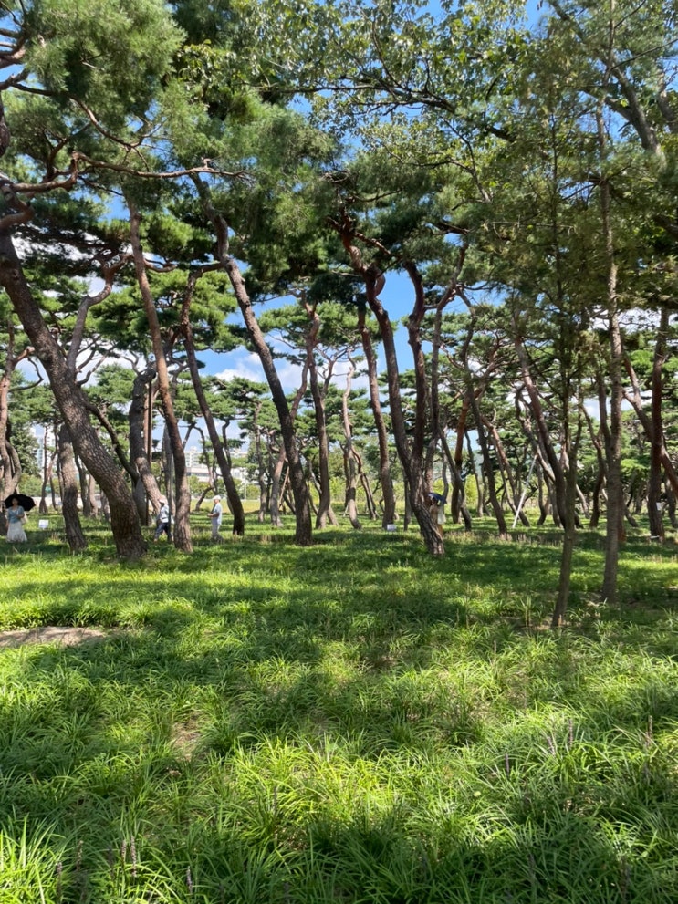 별거 없는 9월 일상.. : 네이버 블로그