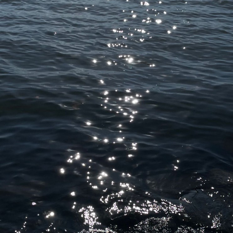 블루아워(blue hour) : 네이버 블로그