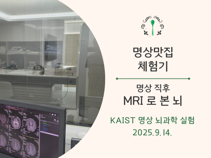 [명상맛집 체험기] MRI로 본 (나의) 뇌 with KAIST 명상 뇌과학 실험 연구 : 네이버 블로그
