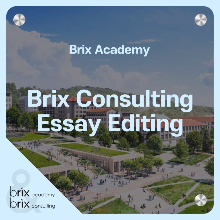 Brix Consulting Essay Editing : 네이버 블로그