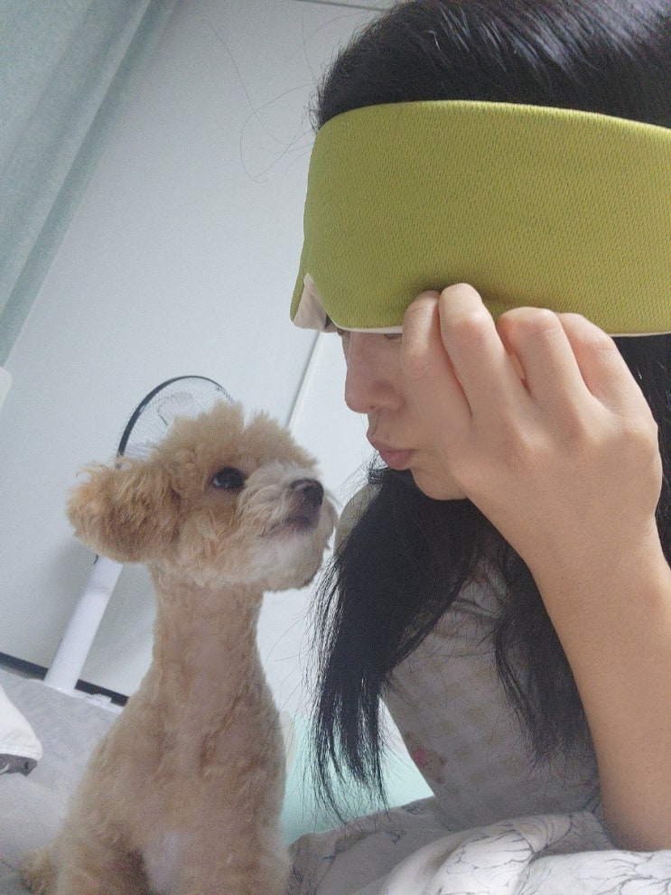 [안구건조증·불면 고민] 숙면 도와주는 이지드림 듀얼 수면안대 : 네이버 블로그