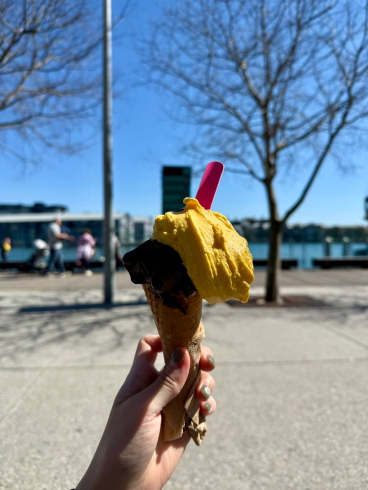 시드니 젤라또 맛집 Rivareno Gelato Barangaroo 맛 가격 : 네이버 블로그