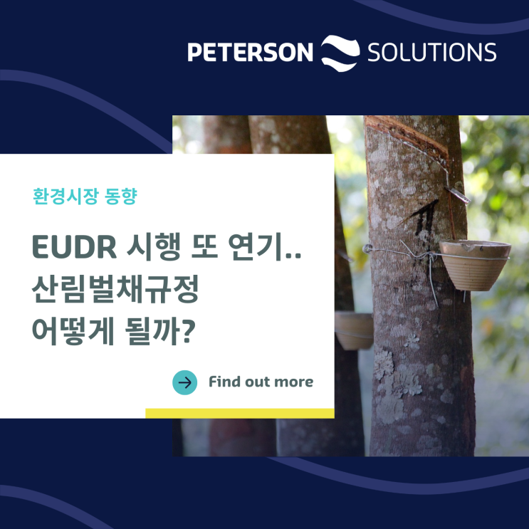 [환경시장 동향] EUDR 시행 또 연기.. 산림벌채규정 어떻게 될까? : 네이버 블로그