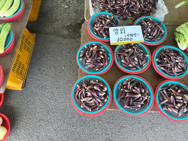 제주여행2. 세화 민속오일시장 : 네이버 블로그