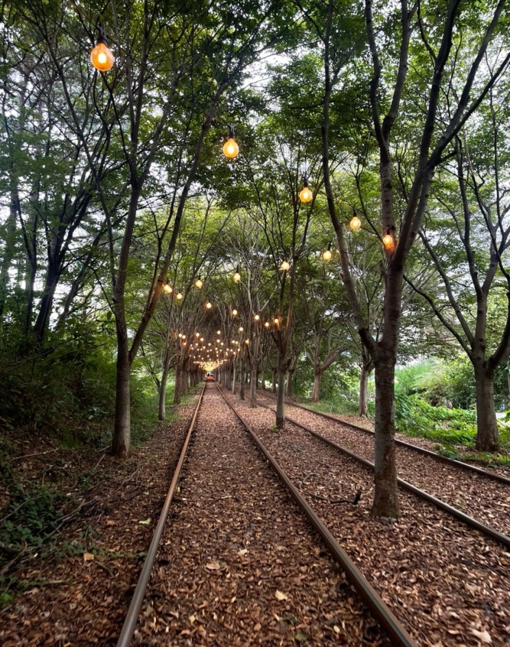 Wake Me Up When September Ends : 네이버 블로그