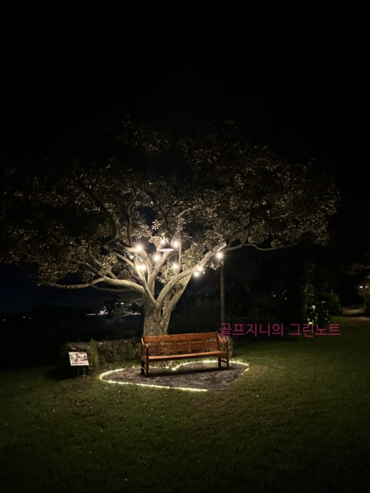 [제주] 씨에스리조트(The Seaes) 숙박 후기, 내돈내산 : 네이버 블로그