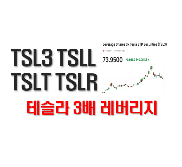 테슬라 3배 레버리지 TSL3, TSLL, TSLT, TSLR ETF 차이점 추천 2, 1.5, 1.25배 : 네이버 블로그