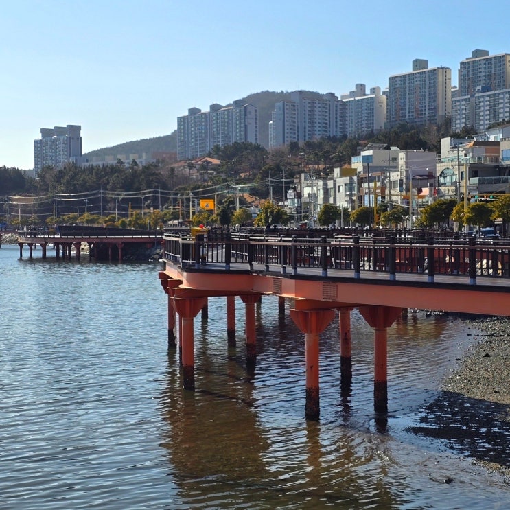 여수 데이트 가볼만한곳 소호동동다리 여수 오션뷰 카페 산책 네이버 블로그