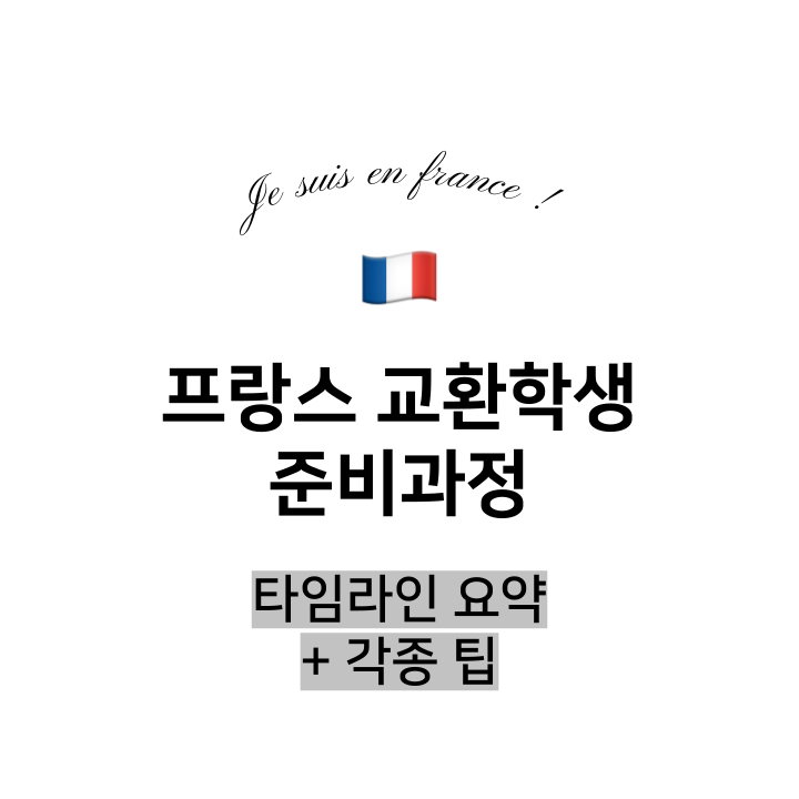 프랑스 교환학생 프랑스 교환학생 준비과정 프랑스 비자 준비 대략적인 타임라인과 팁 네이버 블로그