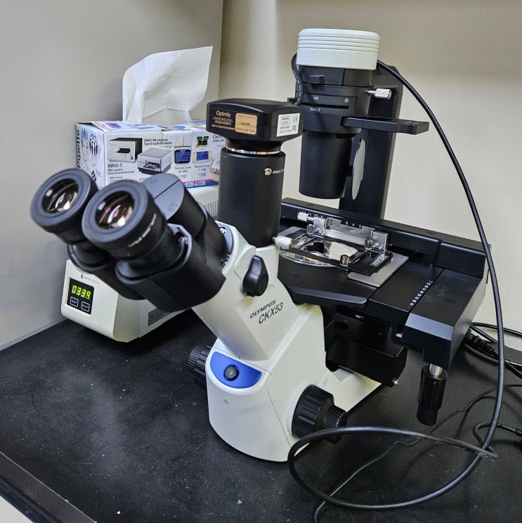 올림푸스 CKX53 도립 형광 현미경 & KCS3-83SF2 형광 카메라 세트 ( OLYMPUS CKX53 / 형광 관찰 / 830만 화소 형광 카메라 ) - 에이원 ...