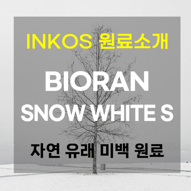 [원료소개]BIORAN Snow White S 자연 유래 미백 원료 : 네이버 블로그