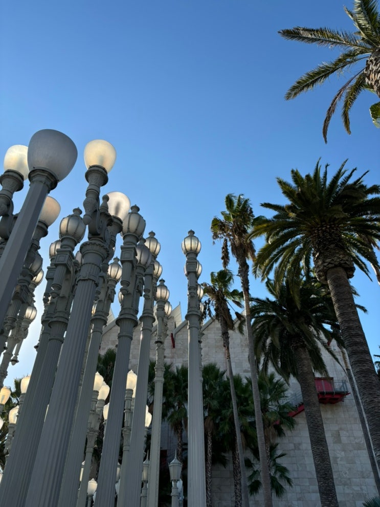 LA+베가스+칸쿤 허니문 대장정 :: 미국 서부여행, 헐리우드 공원, LACMA, 더그로브, LA쇼핑 리스트 : 네이버 블로그