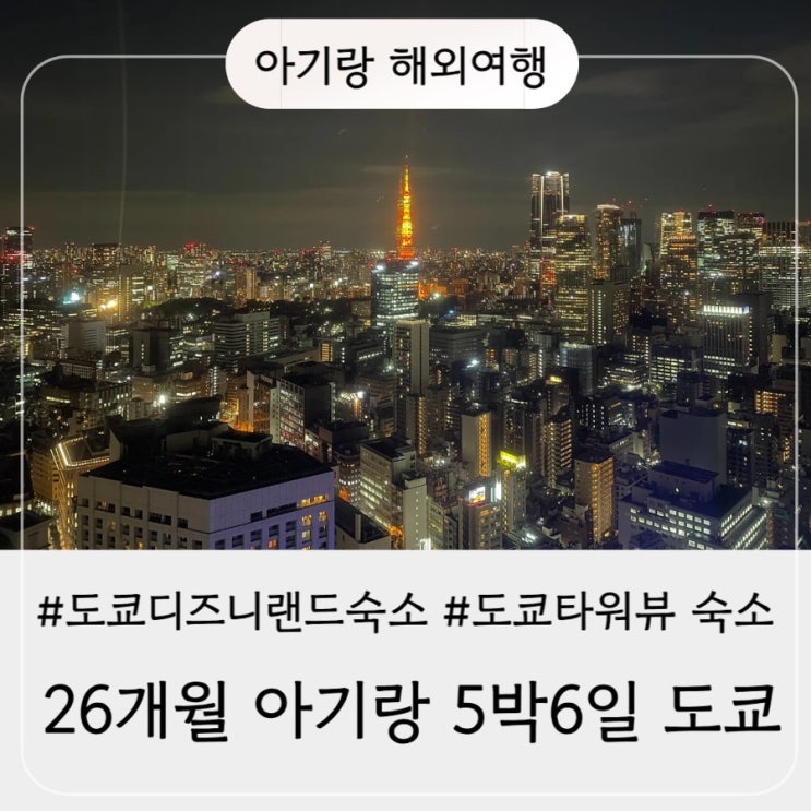 [2024년 6월 도쿄 여행] 26개월 아기랑 5박6일 도쿄여행 일정 & 숙소,식당 추천 : 네이버 블로그