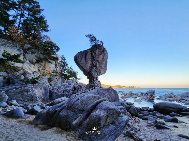 강원도 고성 여행 겨울 가볼만한곳 : 네이버 블로그