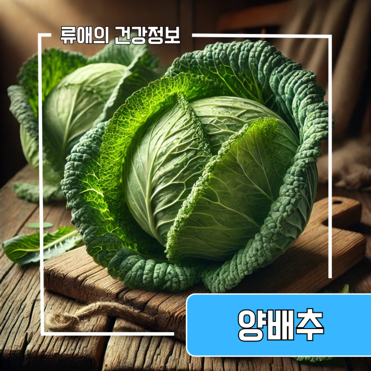 삶은 양배추 효능 6가지 및 부작용 적양배추즙 양배추브로콜리즙효능 네이버 블로그